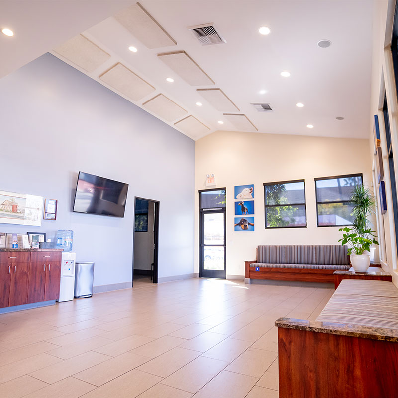 Service Pricing - Vet in Covina | Covina Animal Hospital