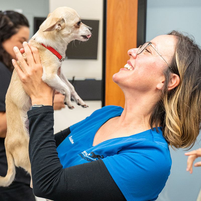 What Makes A Fear Free Veterinary Visit Different - Vet in Covina ...